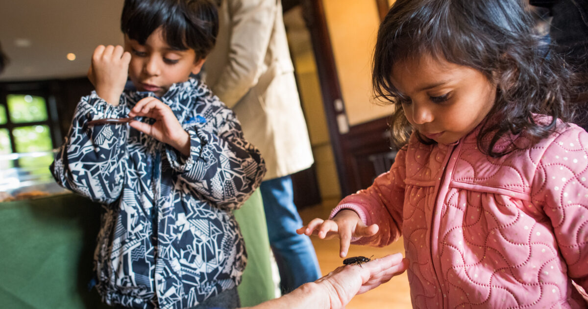 Close Encounters: Scavengers and Decomposers Petting Zoo - Wave Hill
