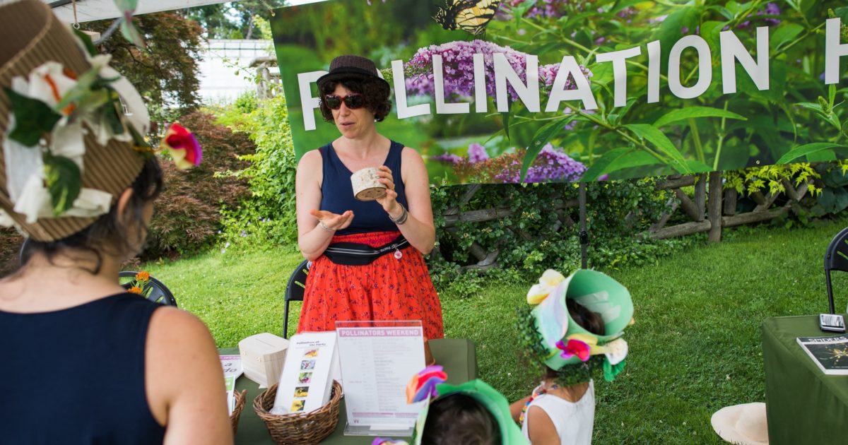 Pollination Station and Welcome Table - Wave Hill
