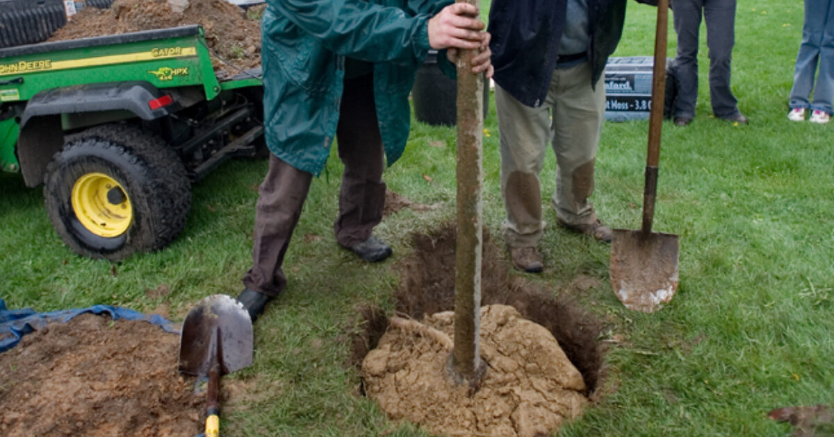 60th Anniversary Tree Planting - Wave Hill