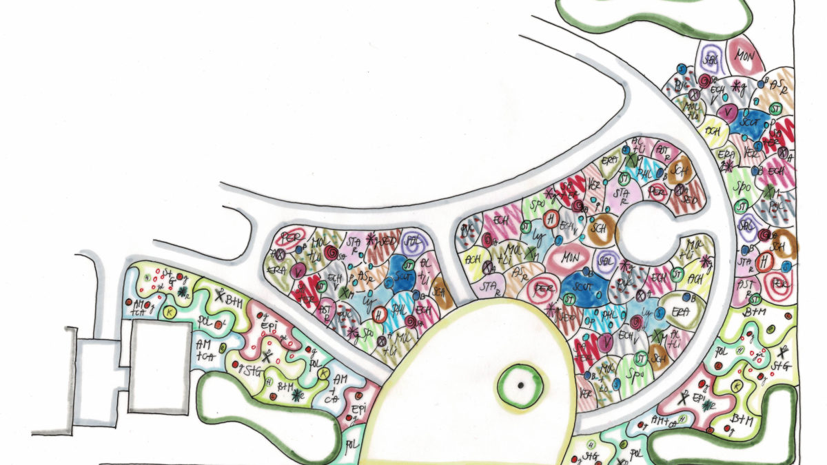 Conversation with Tom de Witte, International Landscape Designer - Wave ...