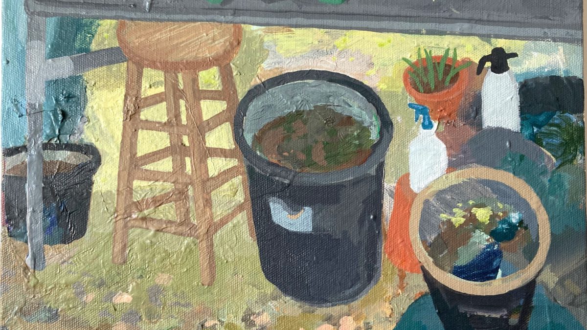 Behind the Scenes Tour: Alpine House and Art Exhibition, Artist and ...