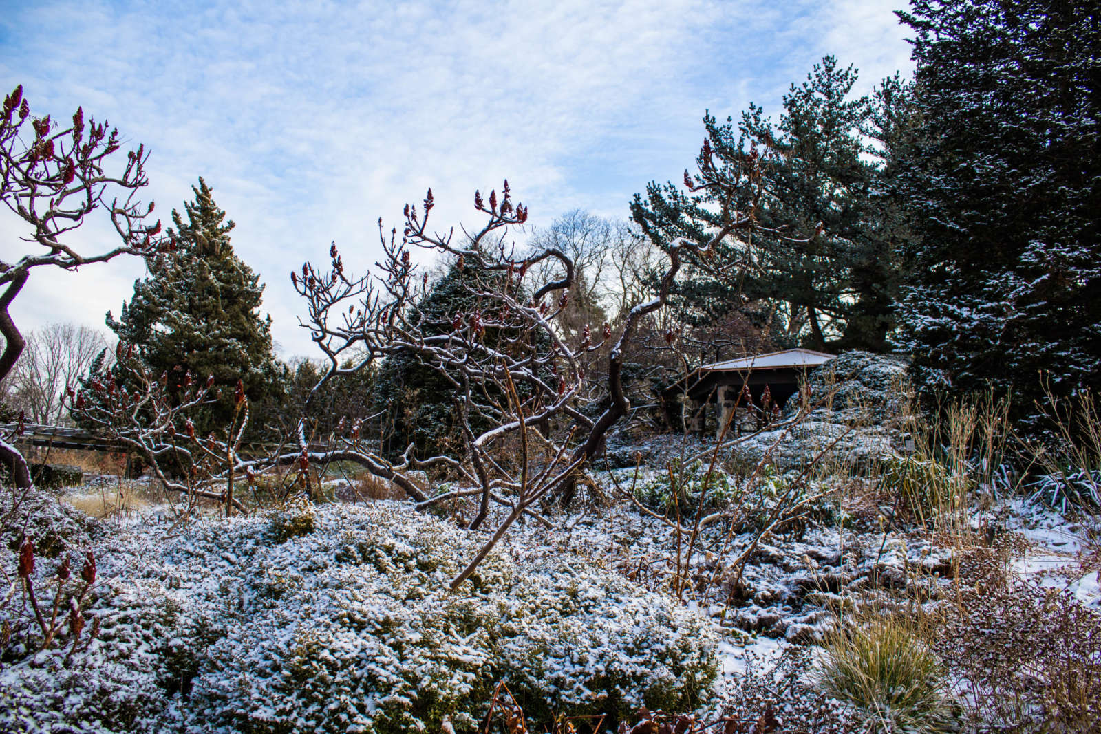Home - Wave Hill