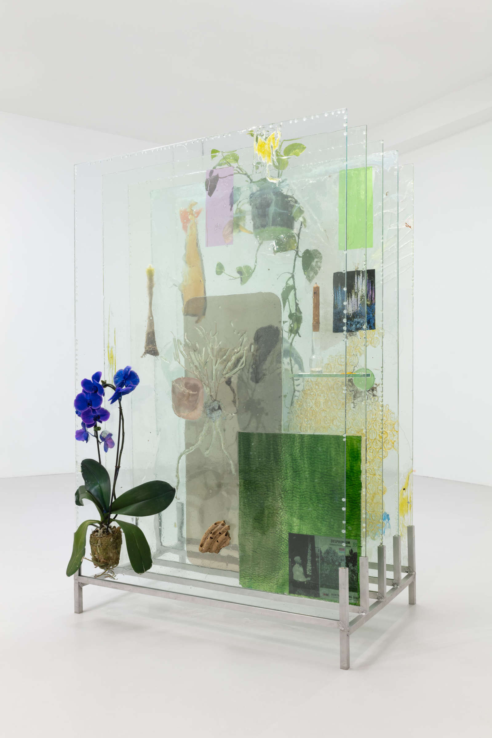 Heidi Norton—Sunroom Project Space 2022 - Wave Hill