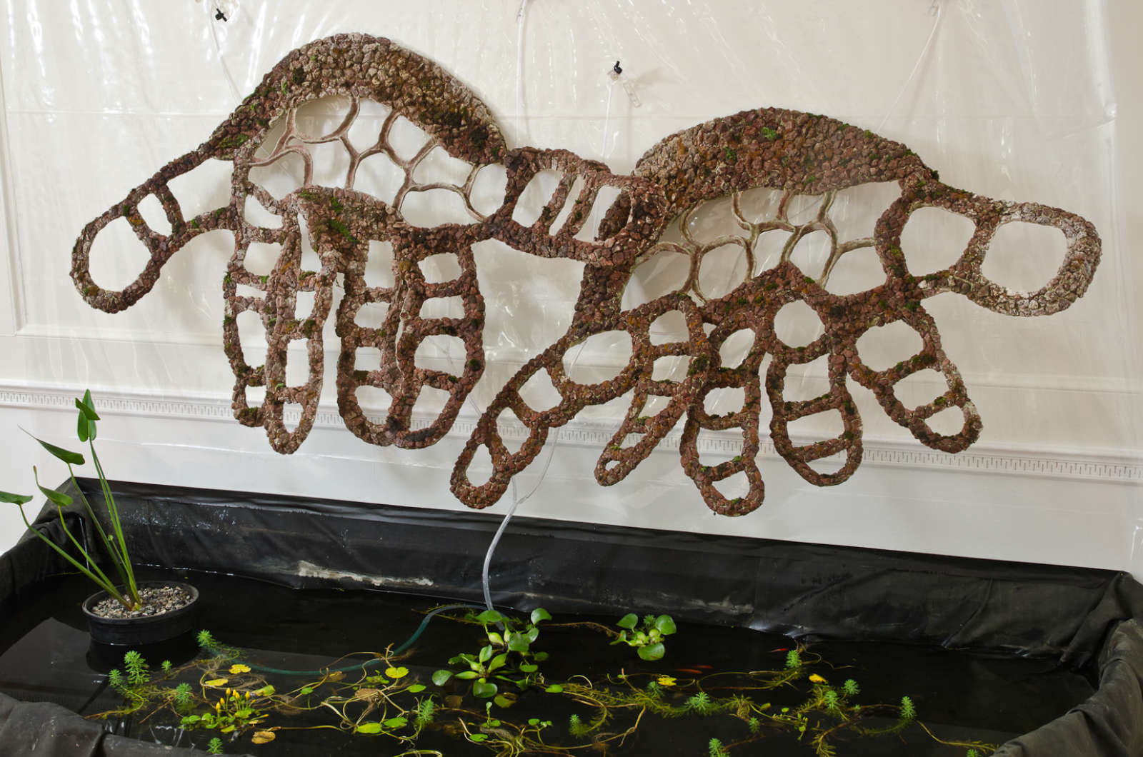 Jackie Brookner: Of Nature - Wave Hill