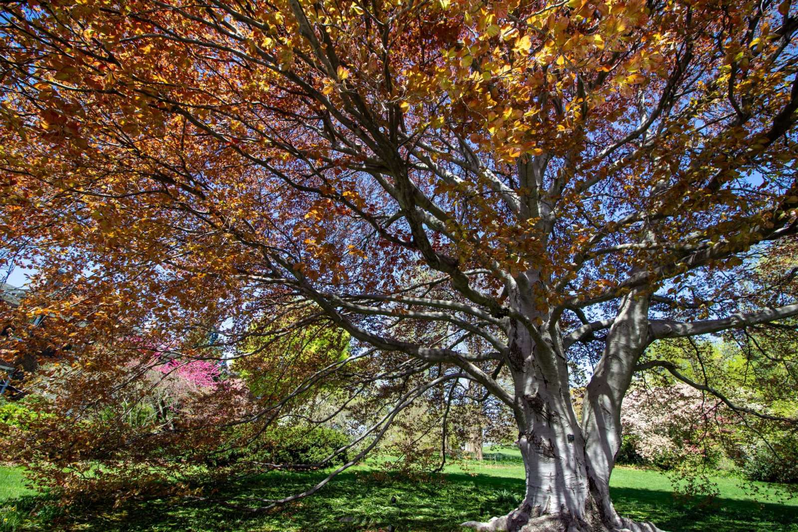 Arbor Weekend - Wave Hill