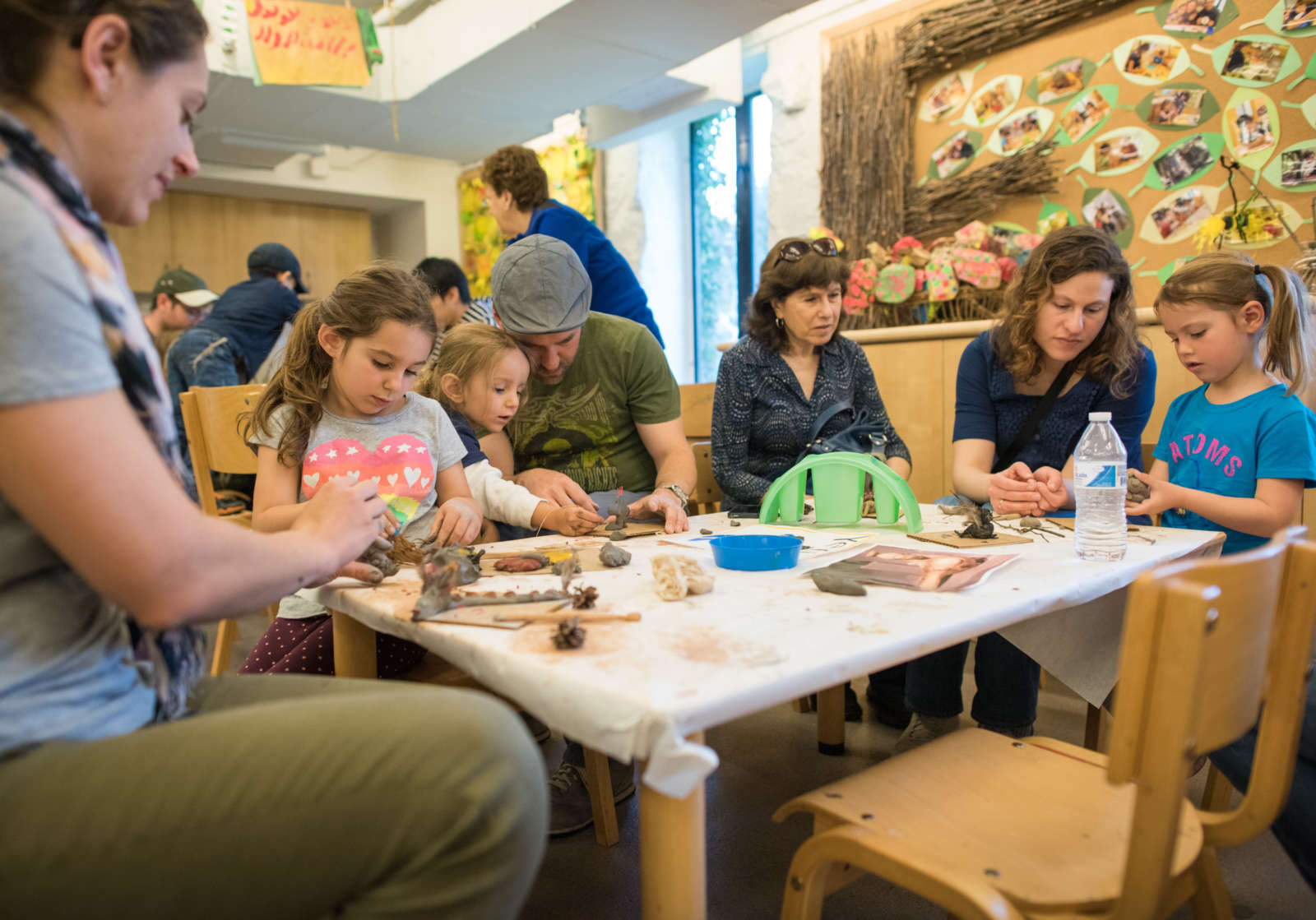 Faces of Nature - Wave Hill