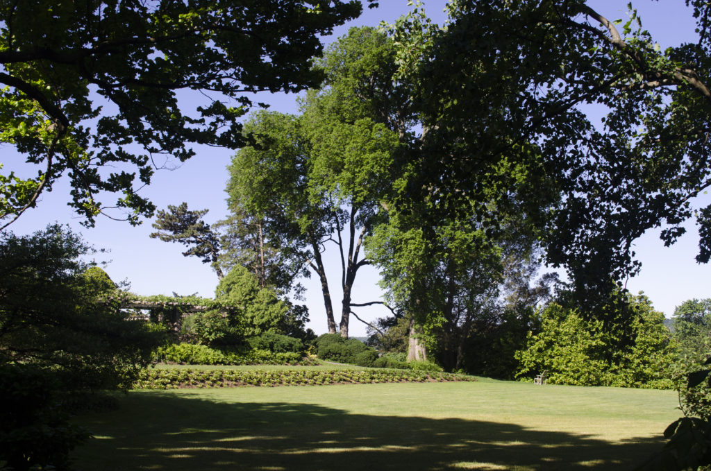 Calendar - Wave Hill