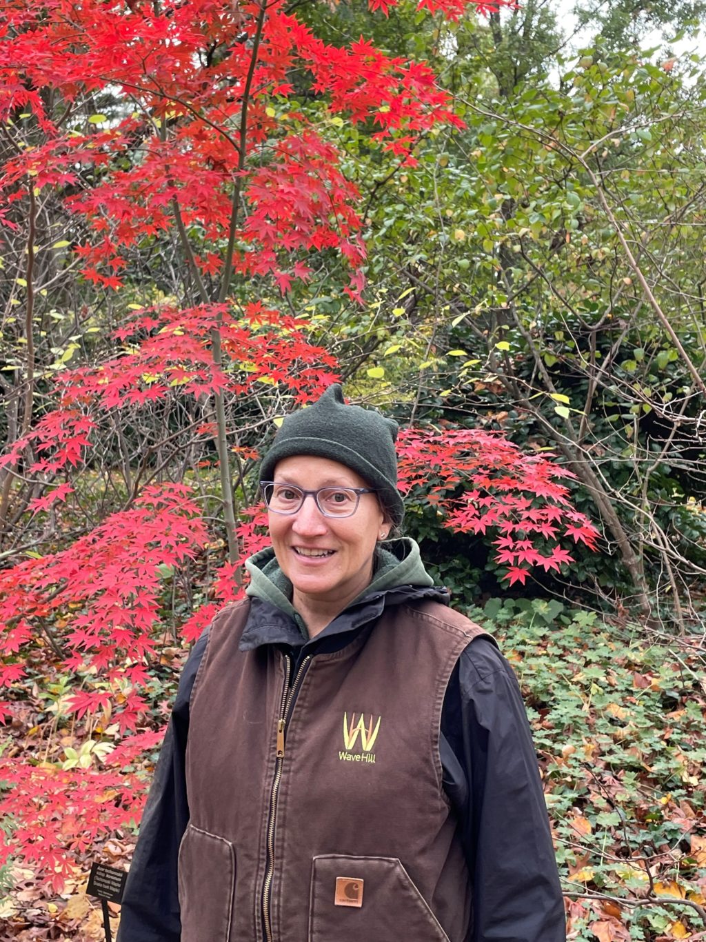 Walks with the Gardeners: Shade Border Spring Ephemerals - Wave Hill