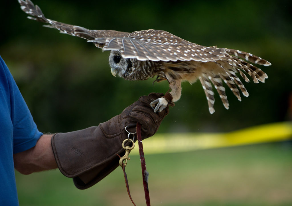 Calendar - Wave Hill