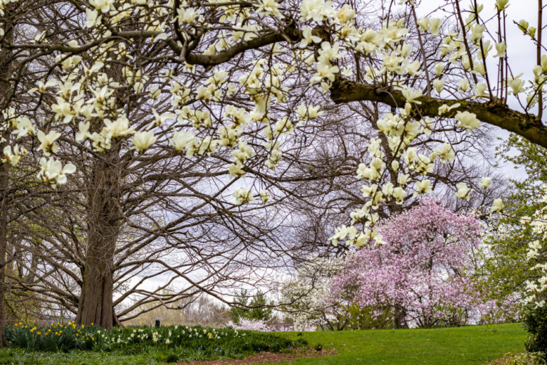 Calendar - Wave Hill