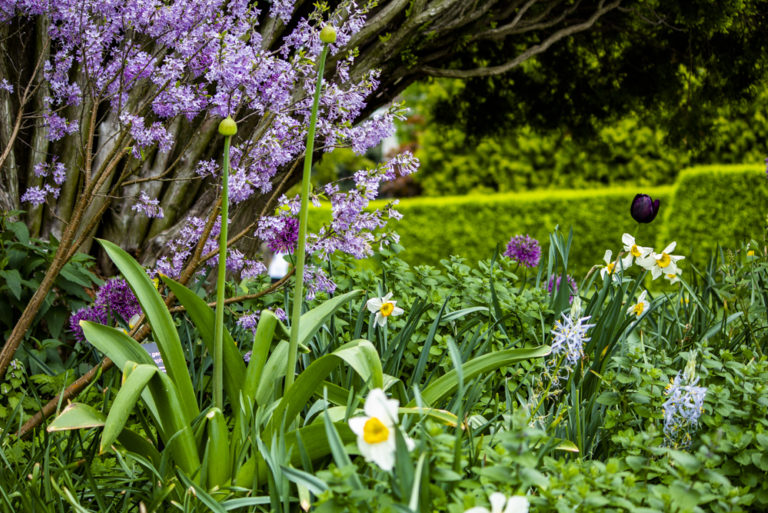 Calendar - Wave Hill