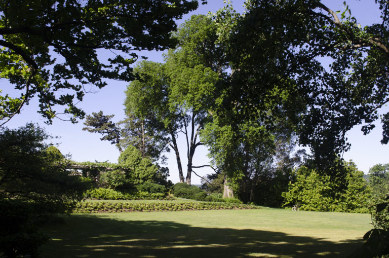 Calendar - Wave Hill