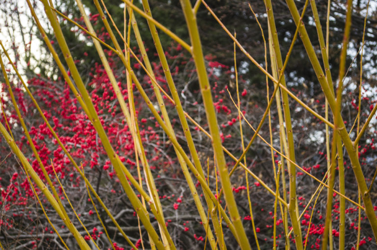 Calendar - Wave Hill