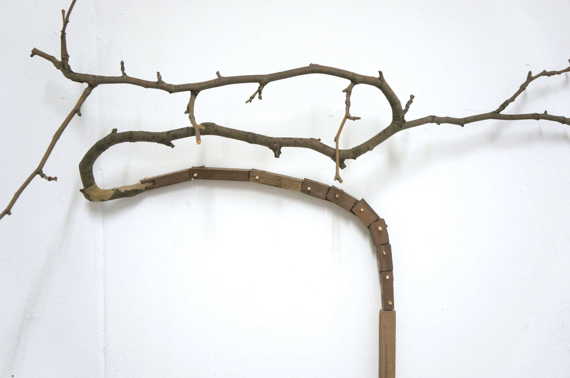 Meet the Artist: Stephanie Beck - Wave Hill