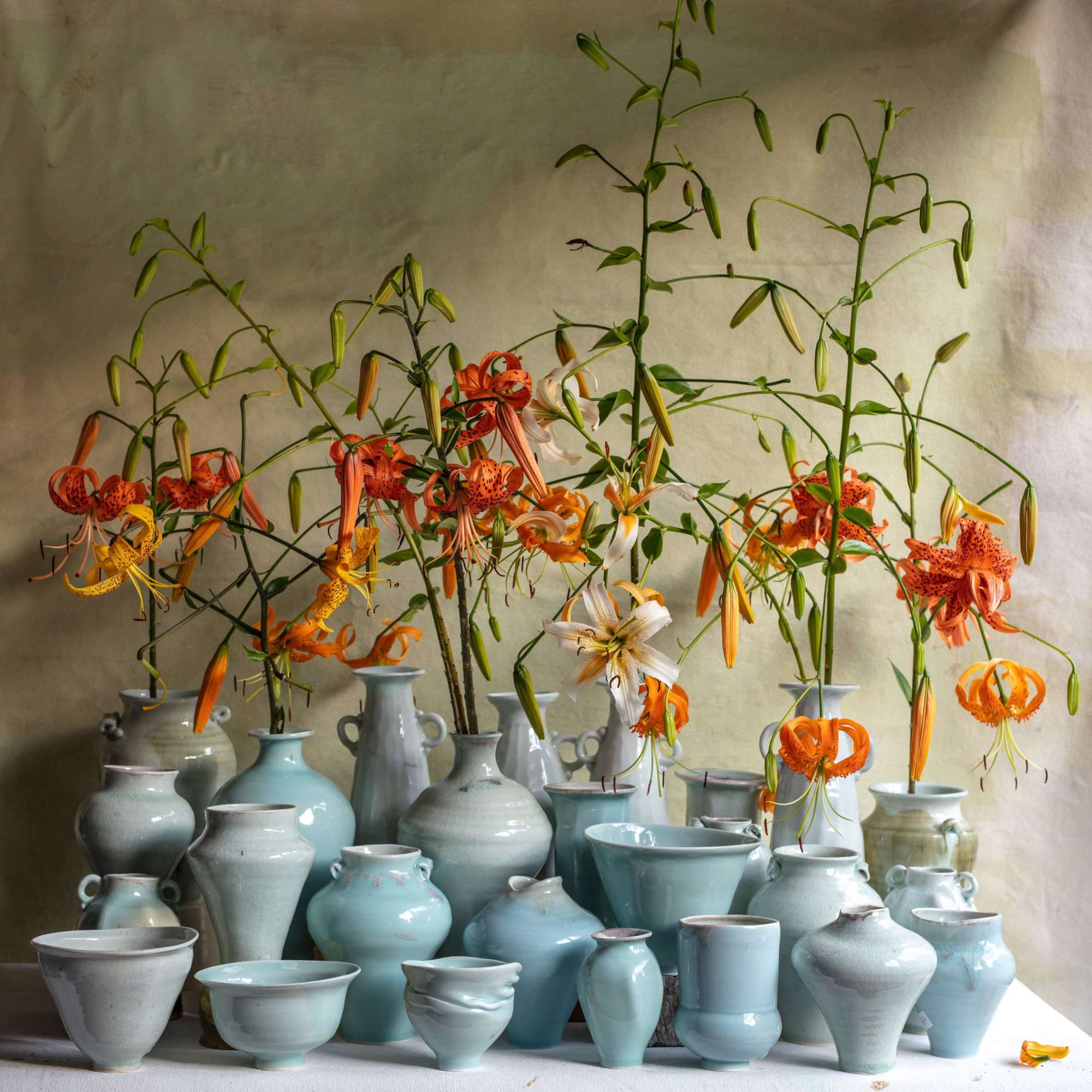 Frances Palmer: Life in the Studio - Wave Hill