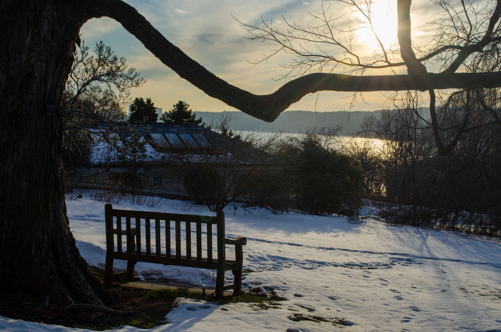 Calendar - Wave Hill