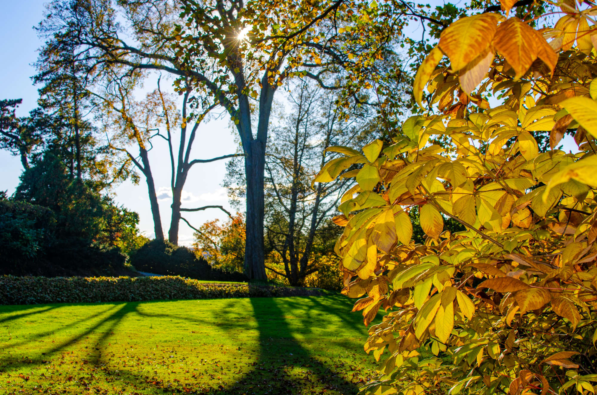 Rebecca Allan–Wave Hill House - Wave Hill