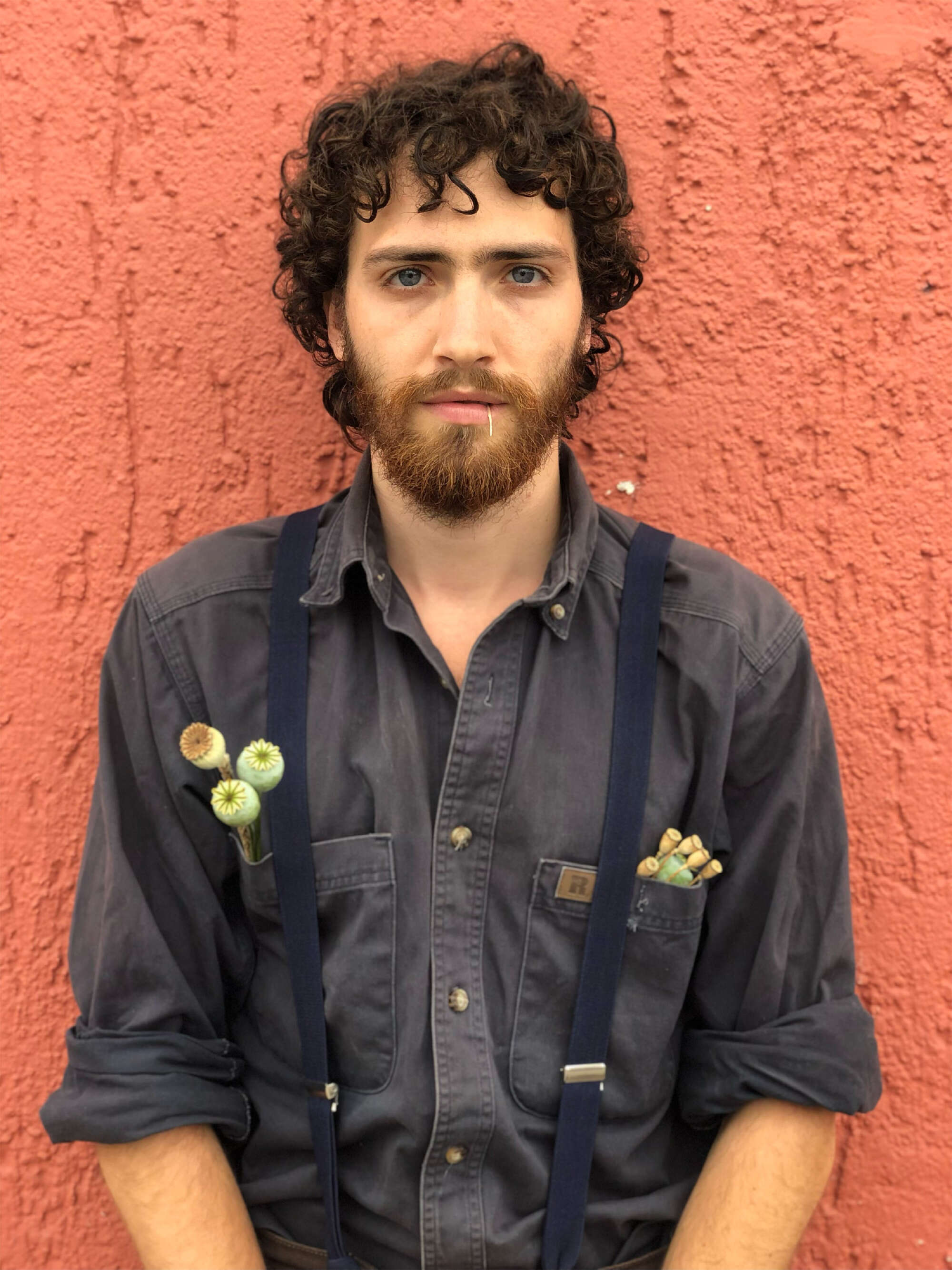 Tree Folklore Walk - Wave Hill