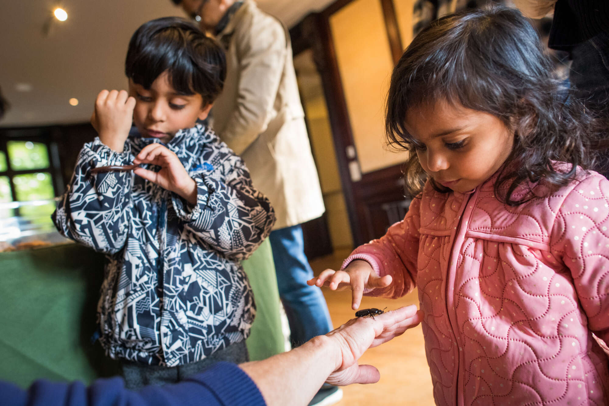 Close Encounters: Scavengers and Decomposers Petting Zoo - Wave Hill