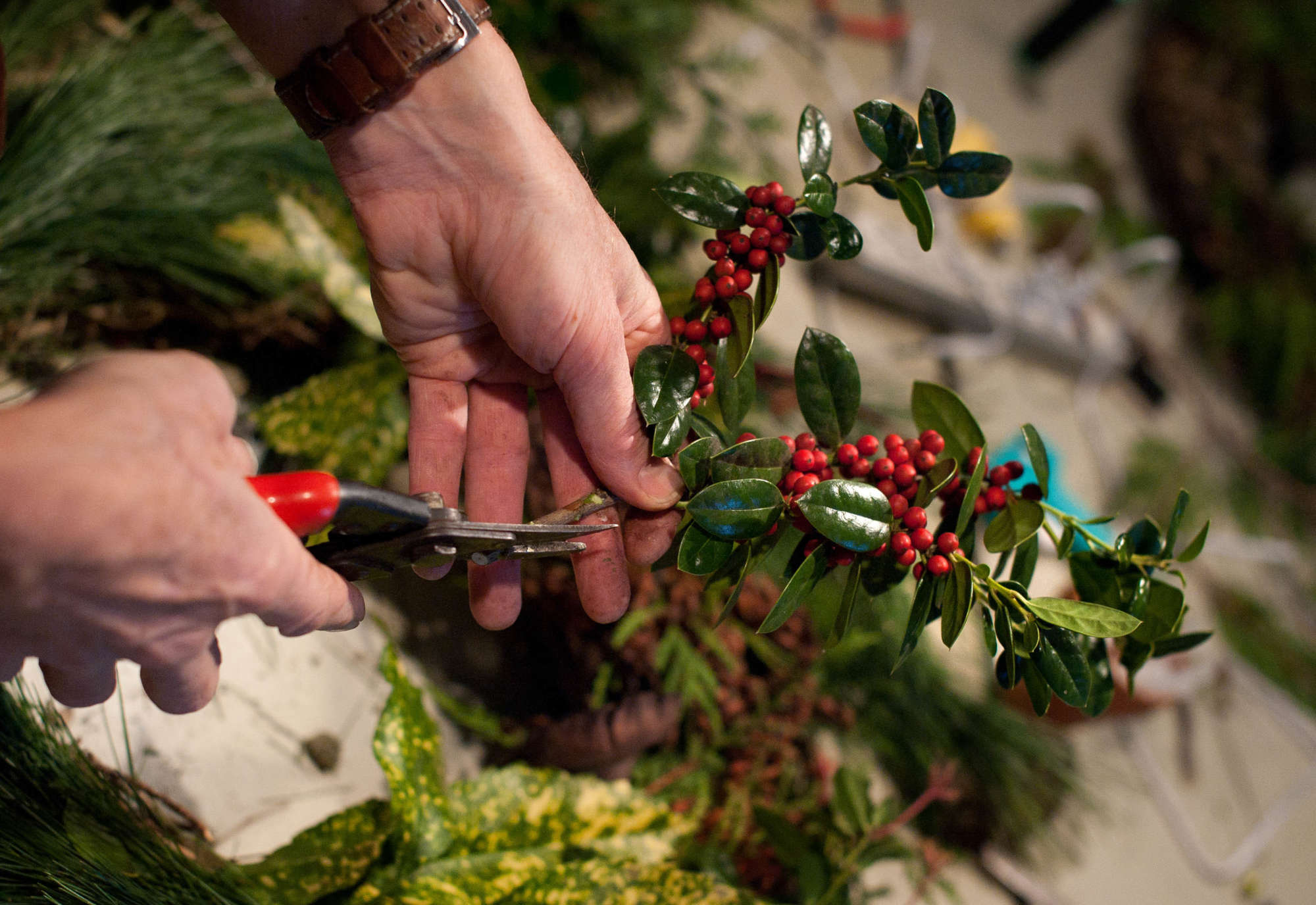 Holiday Wreath Making - Wave Hill