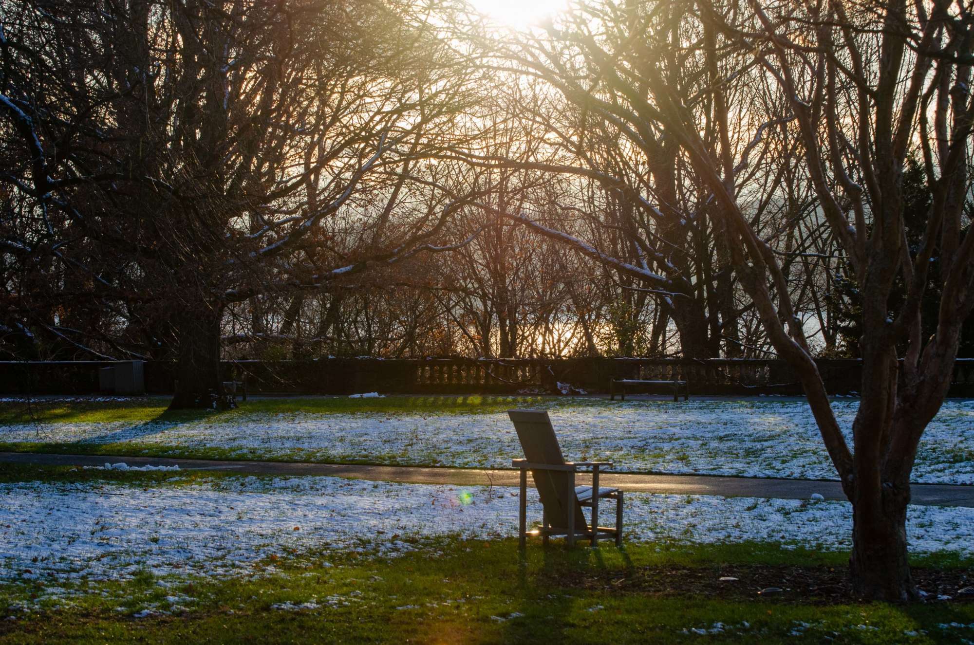 Winter Solstice Sunset Walk - Wave Hill