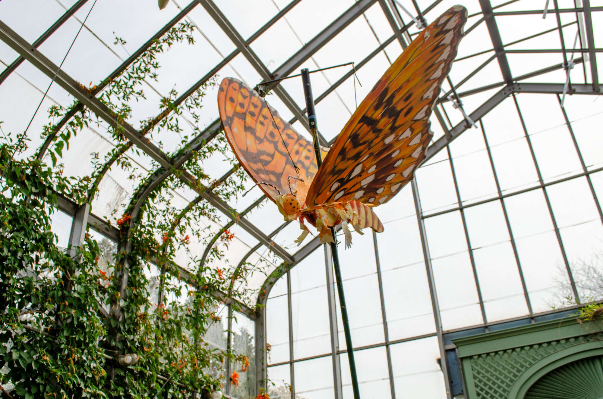 Great Pollinator Ramble - Wave Hill