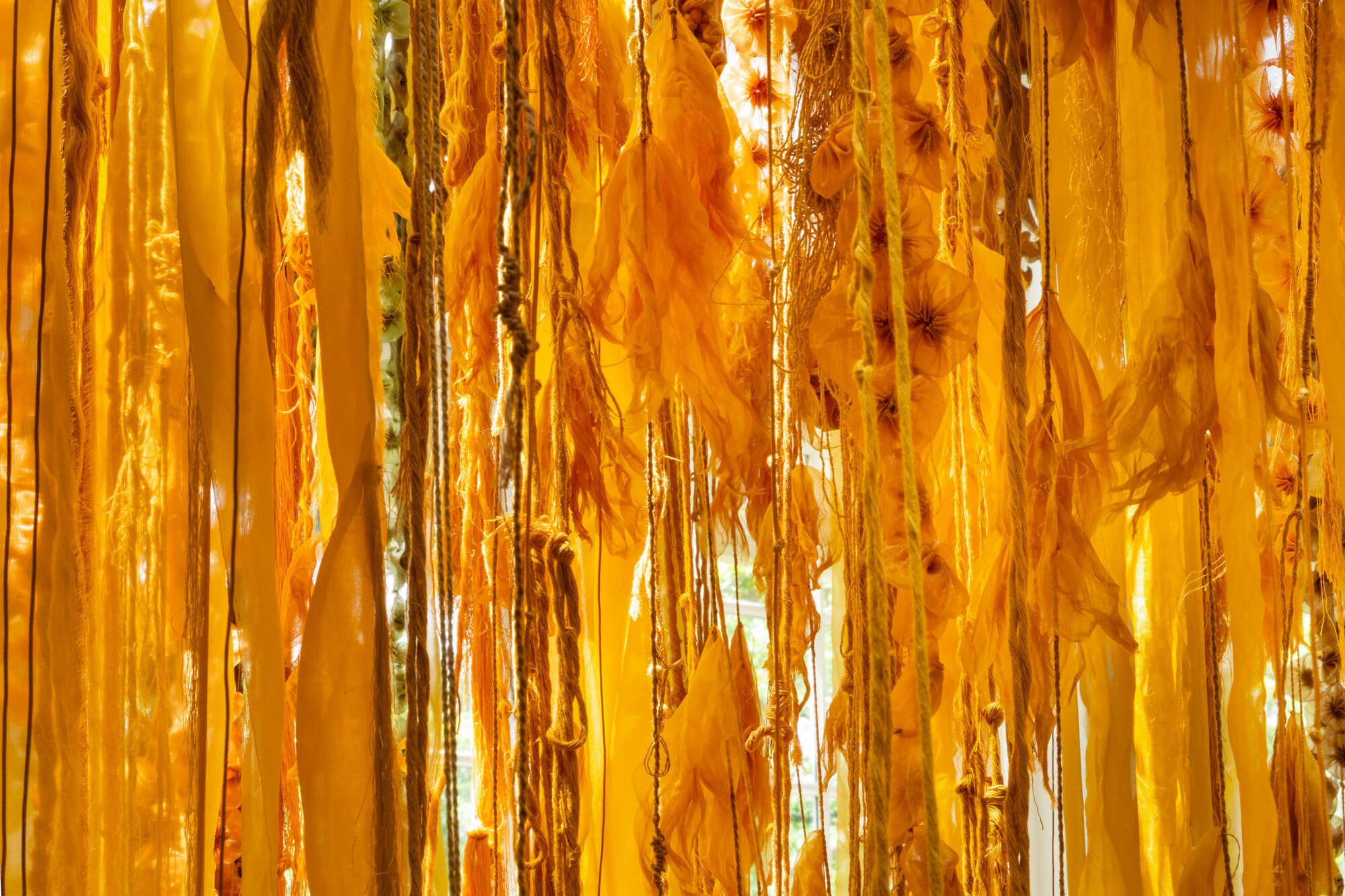 Amanda Phingbodhipakkiya : What we hold in time’s tender keeping - Wave ...